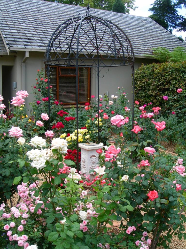 Rose Small Home Gardens Small Rose Garden Ideas The Home Depot